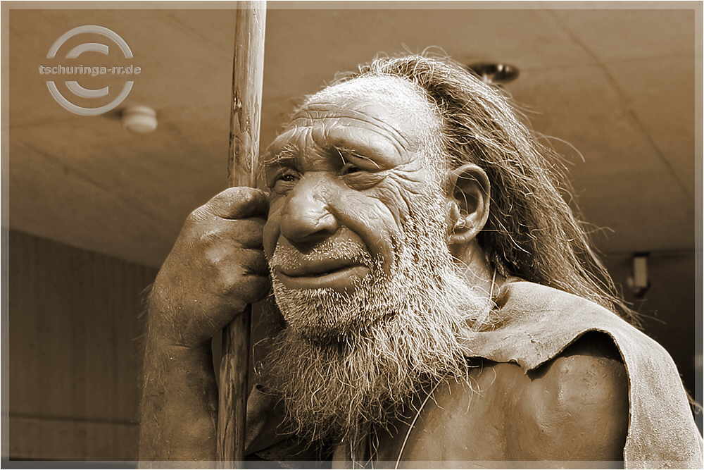 Neandertal Museum