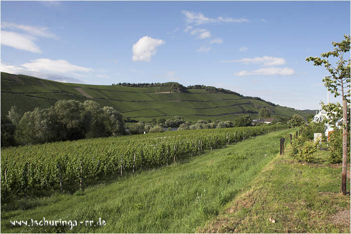 Brauneberg - Mosel 2011